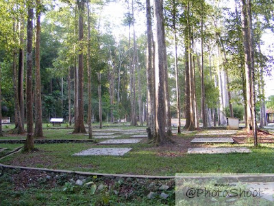 @ Penang & Malaysia: Bukit Panchor State Park / Taman Negeri Bukit Panchor